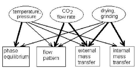 The Effects Of Extraction Conditions On Equilibrium And Kinetics