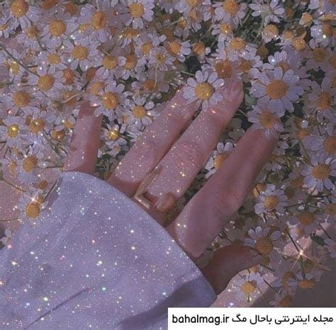 عکس کیوت گرانچ اکلیلی ️ بهترین تصاویر