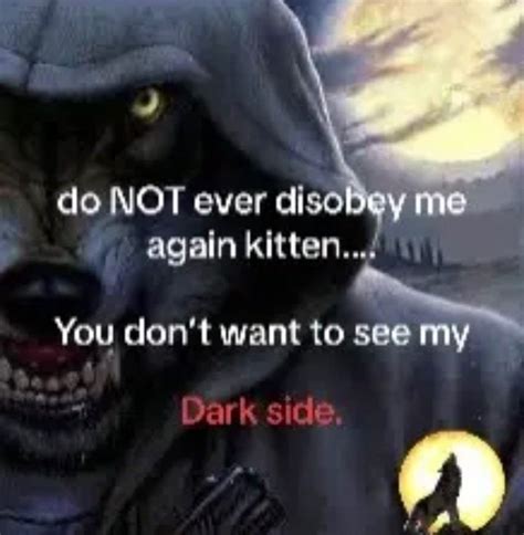 Alpha Sigma Wolf Memes