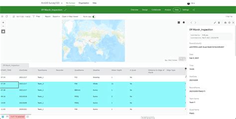 How To Select Multiple Or All Existing Records On Survey123 Website