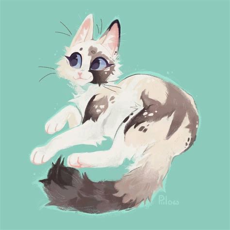 Gray Pillow Иллюстрации кошек Милые рисунки Рисунки животных