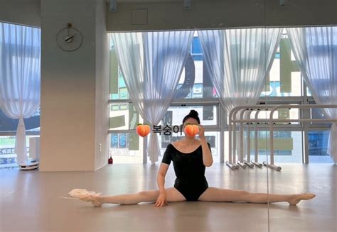 예쁜 성인 발레복 추천 로랑시엘 성인 발레레오타드 취미 발레 가방 후기 네이버 블로그
