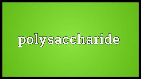 Polysaccharide Meaning Youtube