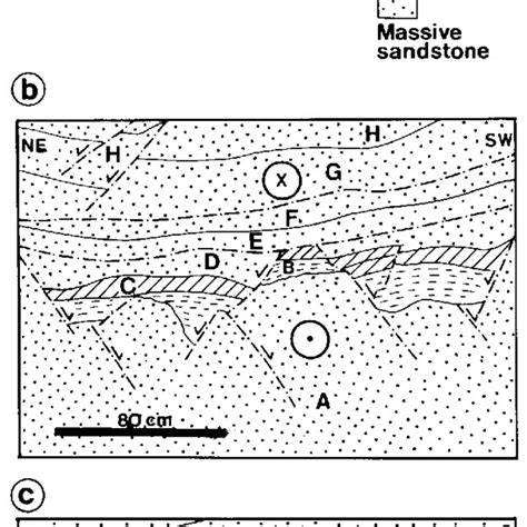 Block Diagram And Sections To Illustrate The Relationship Between Early