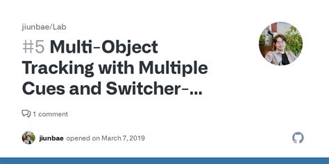 Multi Object Tracking With Multiple Cues And Switcher Aware Classification · Issue 5 · Jiunbae