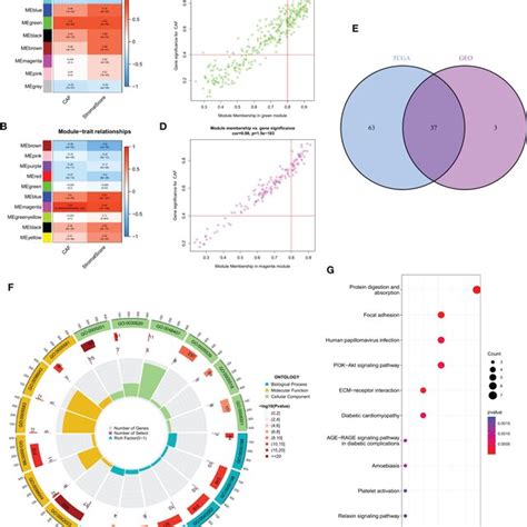 a the correlation between gene module eigengene and phenotype in the