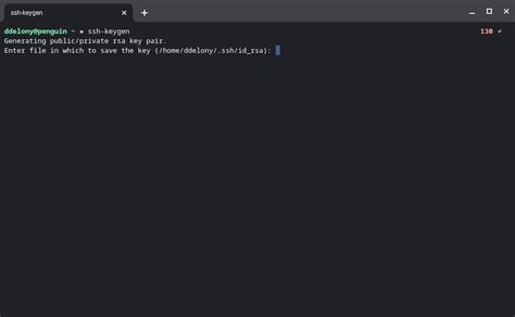 Connect To Remote Servers Using SSH On Your Chromebook