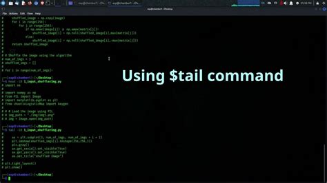 Linux Basics Commands Bangla Tutorial 5 Youtube