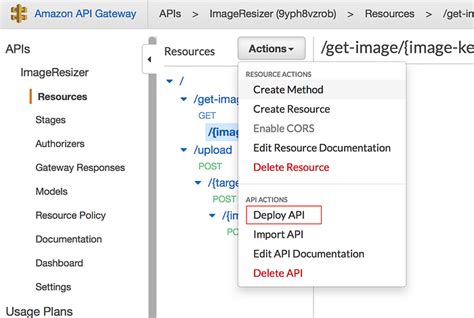 Resize Image With Lambda Function And Aws Api Gateway By Ruby By Thuy