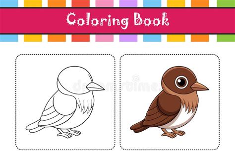 Colorful Representation Of Brown Creeper Stock Vector Illustration Of