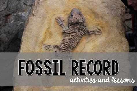 28 best images about stem fossil record on pinterest earth science