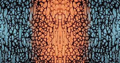 패턴이 있는 주황색과 파란색 배경 사진 Unsplash의 벽지 이미지