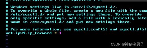 Linux 高级管理 ——squid代理服务器的部署和应用传统模式详解squid部署 Csdn博客