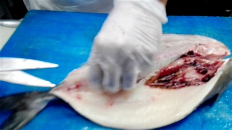 How To Cut Butterfly Cut Fish Youtube