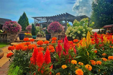 Eberts Greenhouse Village Ixonia Wi
