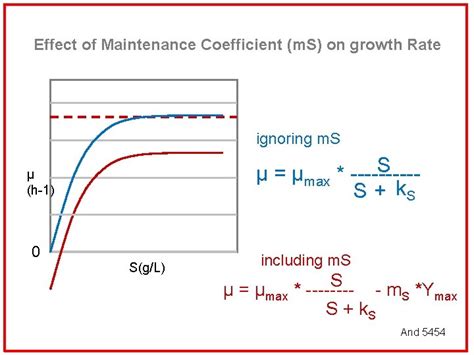 Growth Overview Microbial Growth Overview Of Terms Exponential