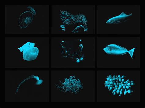 40 Procreate Underwater Ocean Brushes Procreate Sea Brushes Etsy