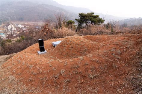 벽제묘지 이님 사초작업산소에 잔디입히기 후 사진입니다 포토앨범 벽제묘지 벽제리묘지 공사관리 상담소