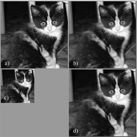 an example of a uniform fuzzy partition of [1 4] by sinusoidal