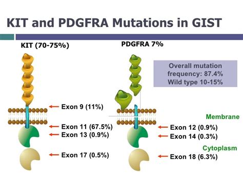 Gist For Internist