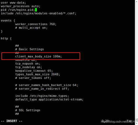 Nginx配置上传文件大小限制flask Nginx限制文件上传 Csdn博客