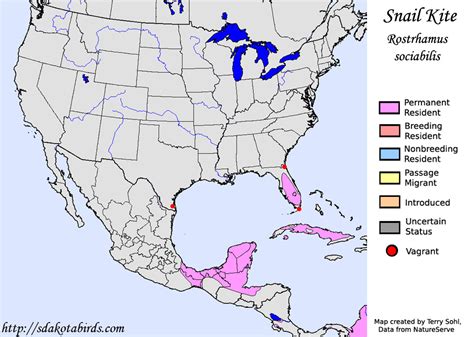 Snail Kite Species Range Map
