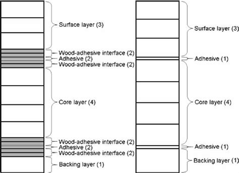 Schematic Of The Mesh Used For The Model Including Interfaces Gray Download Scientific