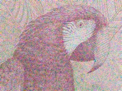 Noise Reduction Algorithms Vs Capturing More Light