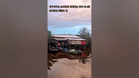 나는 집시 시품짤 취황 Youtube