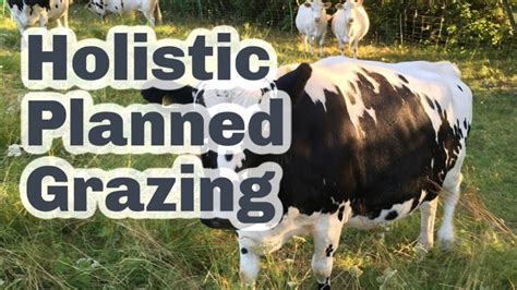 How We Plan Our Grazing 80 Min Special On Filling In A Holistic Planned Grazing Chart How How We Plan Our Grazing 80 Min Special On Filling In A Holistic Planned Grazing Chart How