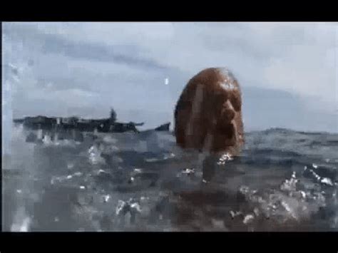 Cast Away Wilson 