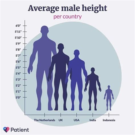 fixed height comparison that was posted earlier r mildlyinfuriating