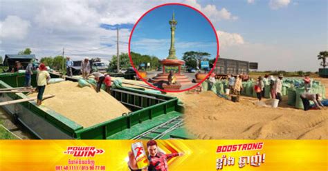 រយៈពេល ៥ឆ្នាំ ខេត្តស្វាយរៀងផលិតស្រូវបានជិត ៣លានតោន