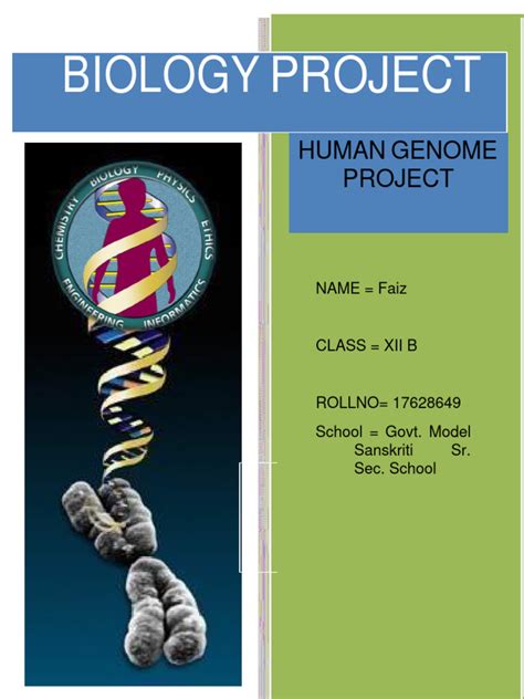 phy project file 1 pdf genome dna
