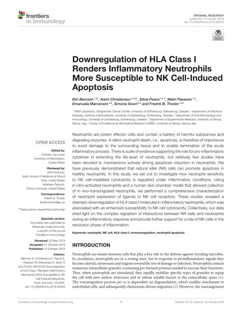Pdf Downregulation Of Hla Class I Renders Inflammatory Neutrophils