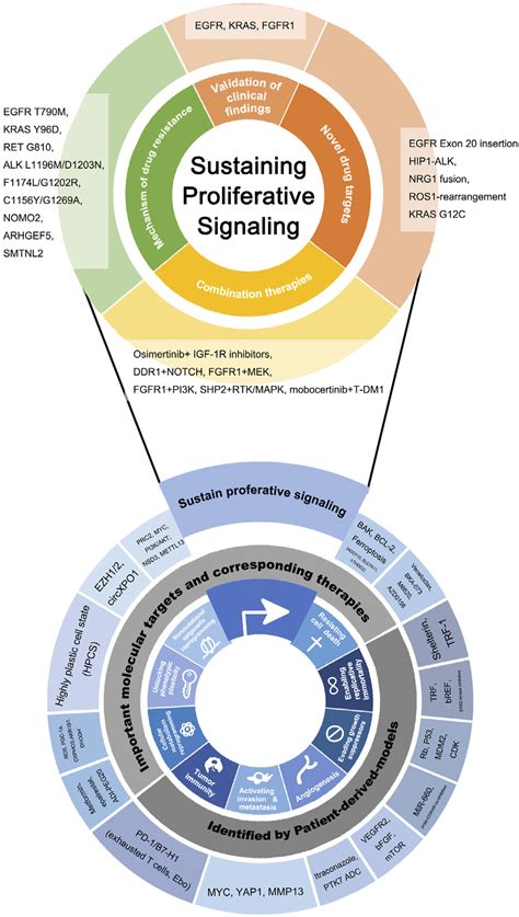 2022年度发表论文 国家纳米科学中心