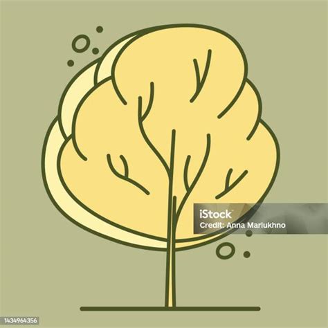 건축 계획을위한 나무 측근 디자인 다양한 나무 관목 및 관목 조경 설계 계획을위한 정면보기 벡터 일러스트레이션 건축가에 대한 스톡 벡터 아트 및 기타 이미지 Istock