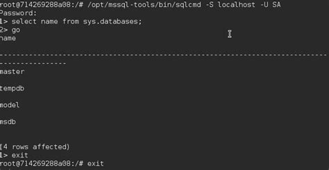 Sql Docker容器了解sql Server Docker容器中的备份和还原操作 Csdn博客