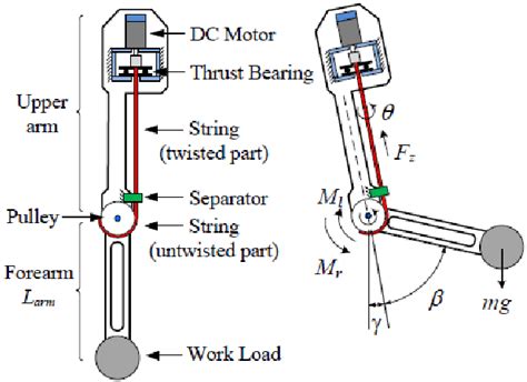 A Schematic View Of The Proposed Twisted String Driven Elbow
