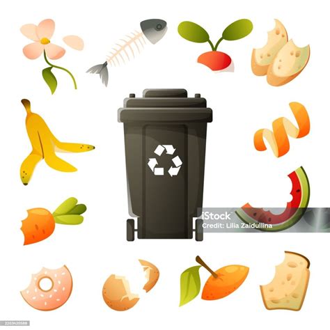 쓰레기통 주변의 자연 유기 폐기물 쓰레기 분류용 용기 썩어가는 음식 유통기한이 지난 식품 수박 껍질 곰팡이가 핀 빵 달걀 껍질 쓰레기 분리수거 생태 습관 생태 문제 개체