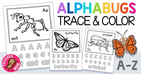 Worksheets Library