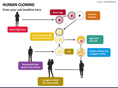 Human Cloning Charts