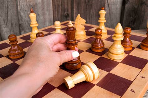 여자의 손은 화창한 날에 체스 판의 배경에 체스 조각을 들고 있습니다 개념 보드 게임 및 지적 활동 개념에 대한 스톡 사진 및 기타 이미지 Istock