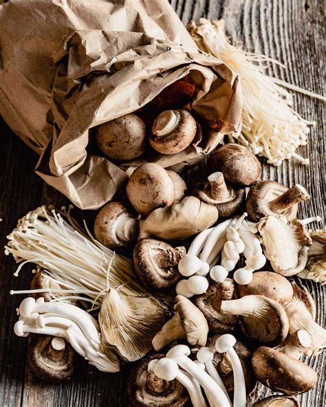 Download Caption Assorted Variety Of Edible Mushrooms