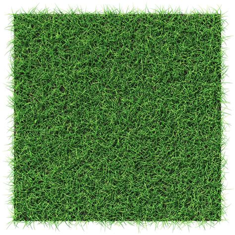 Premium Photo Grass Shape Design Element Isolated