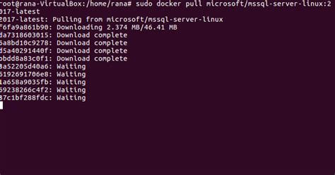 Sql1996 Database Backup And Restore In Docker