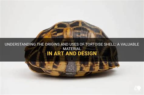 Understanding The Origins And Uses Of Tortoise Shell A Valuable