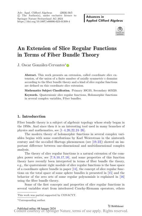 An Extension Of Slice Regular Functions In Terms Of Fiber Bundle Theory