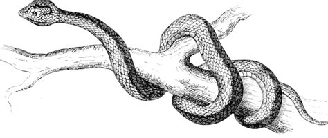 Python Fix Syntaxwarning Return In A Finally Block Adam Johnson