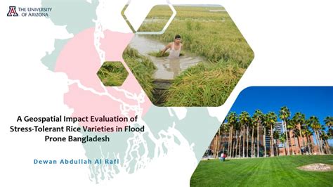 Dewan Abdullah Al Rafi On Linkedin Geospatialdata Impactassessment Remotesensing